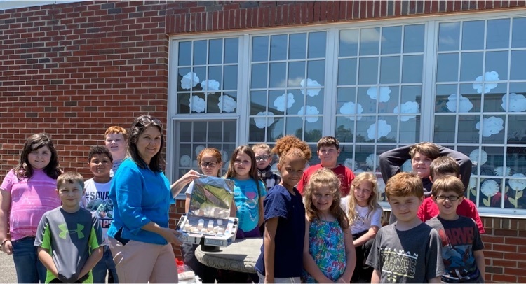 Live Feed | Hanceville Elementary School